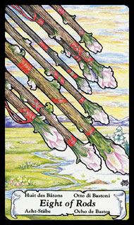 Staven Acht – De Tarot Lezer